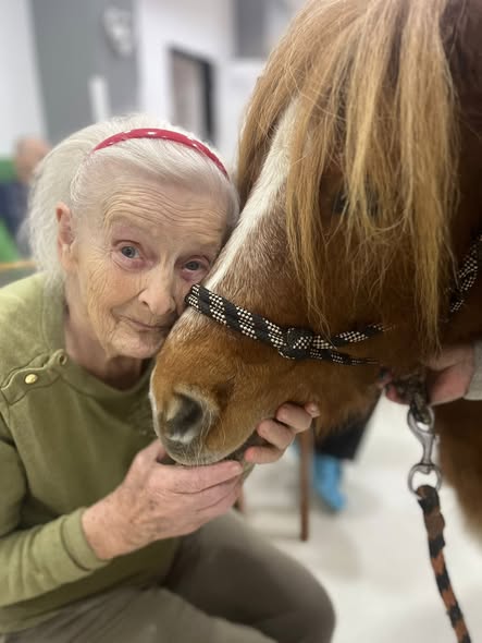 Terapeutický poník | Senior-komplex.cz